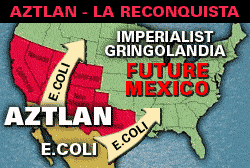 The United States of Mexico? Endgame of multiculturalism: Hispanic ...