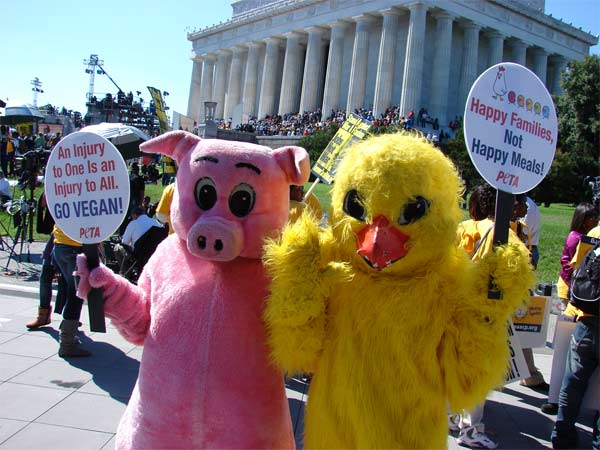 One Nation Rally: A Walk Through